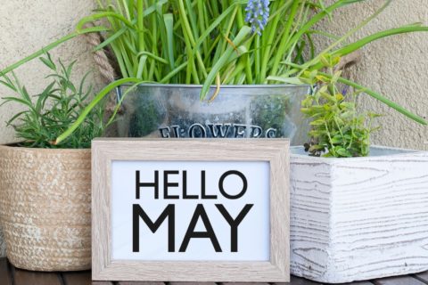 May: 10 Cool Content Ideas